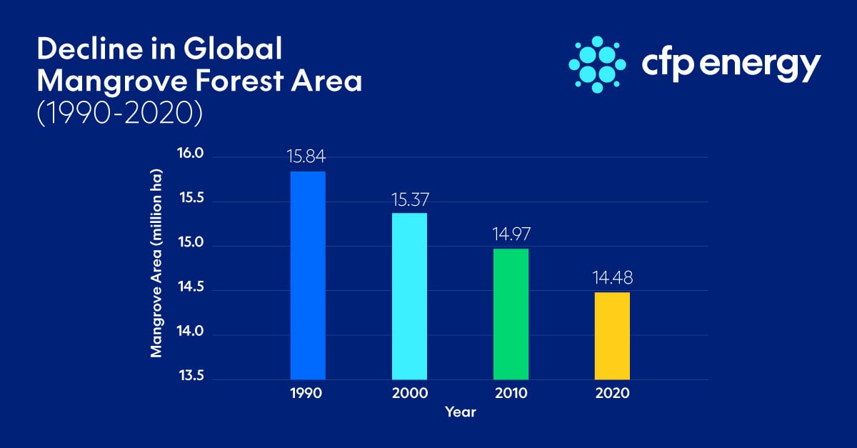 The Crucial Role of Carbon Finance Projects in Restoring Mangrove ...