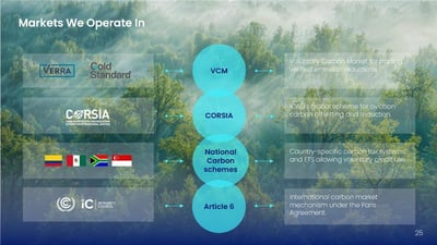 A Guide to Understanding Carbon Credits