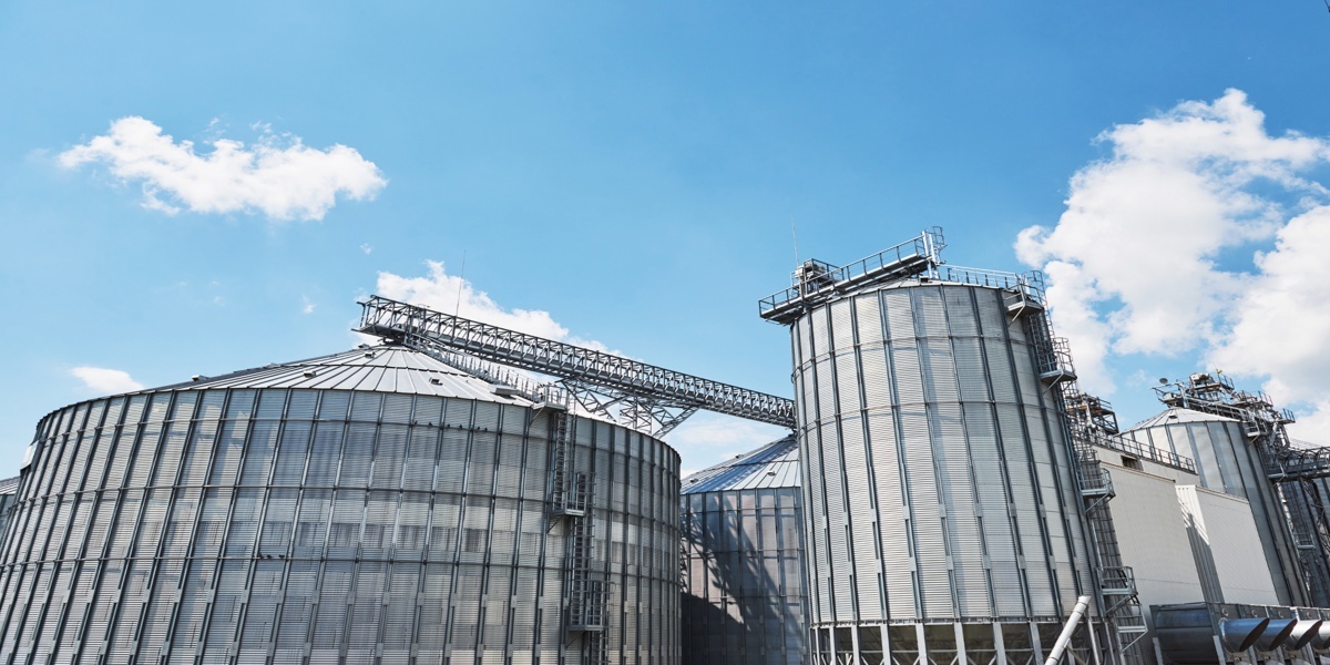 What Are the Different Types of Biofuel?