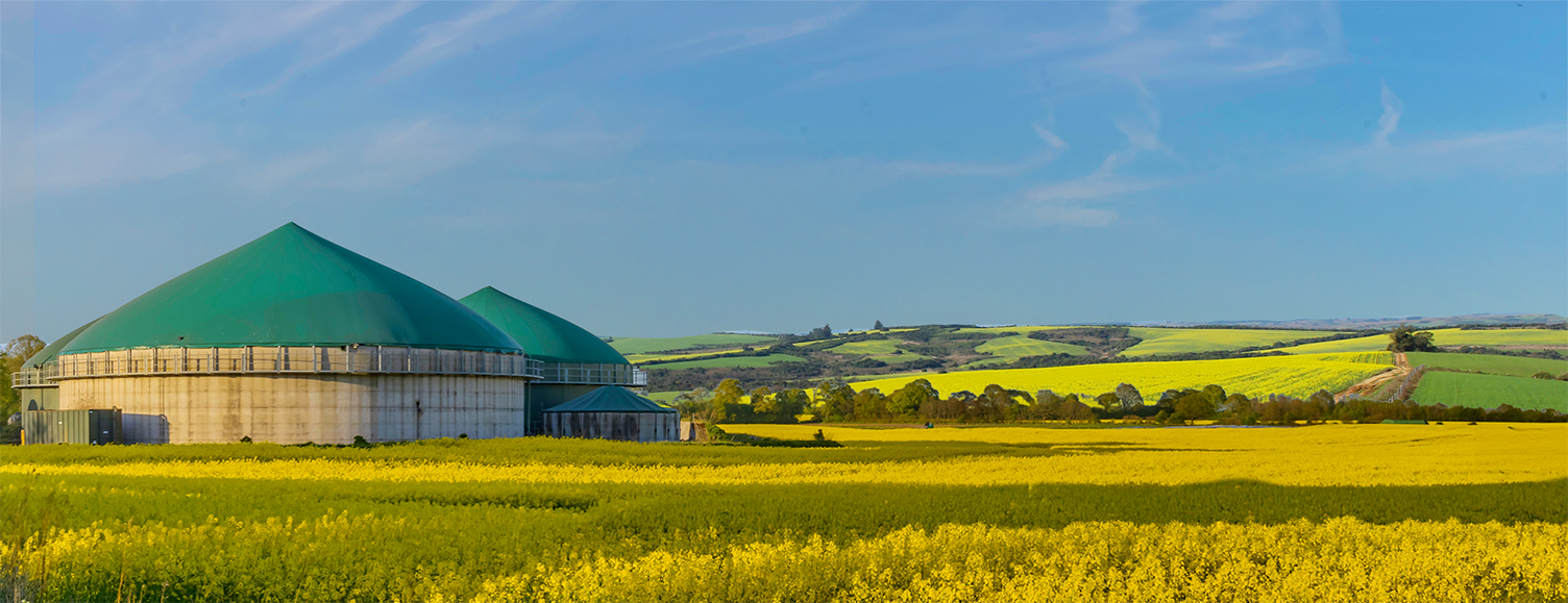 How Biofuels Support Global Decarbonisation Efforts